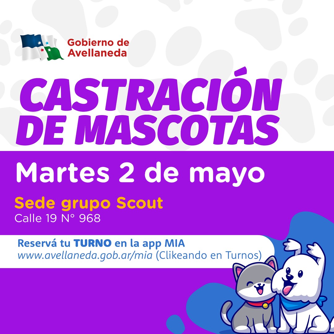 Castrá a tus mascotas, sacá turno on line - Gobierno de Avellaneda