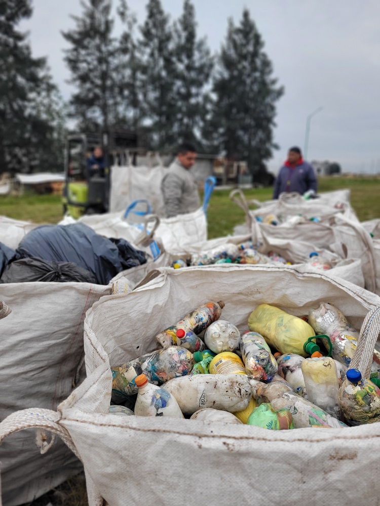 Ecobotellas: Avellaneda promueve acciones sostenibles para mejorar la ...